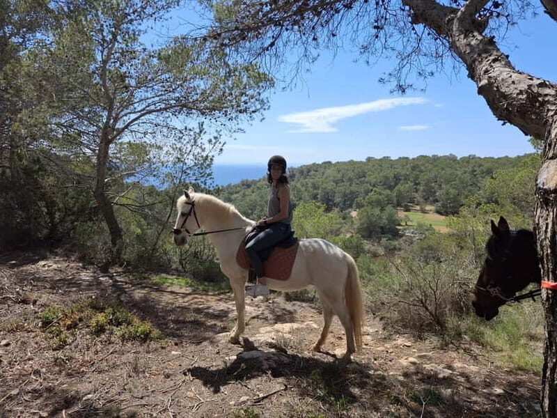 Ibiza: Private Horseback Riding Nature Experience +Transport - Key Points