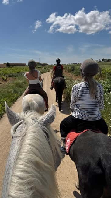 Ibiza: Private Horseback Riding Nature Experience +Transport - What to Expect During the Horseback Riding Experience