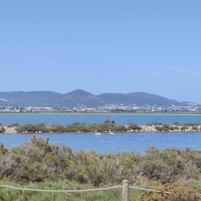 Ibiza: Salt Beds, Es Vedra & Time and Space Half-Day Tour - Who is This Tour Best For?