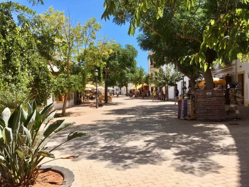Ibiza shore excursion - Private tour - Experience the Best of Ibiza on a Private Shore Excursion