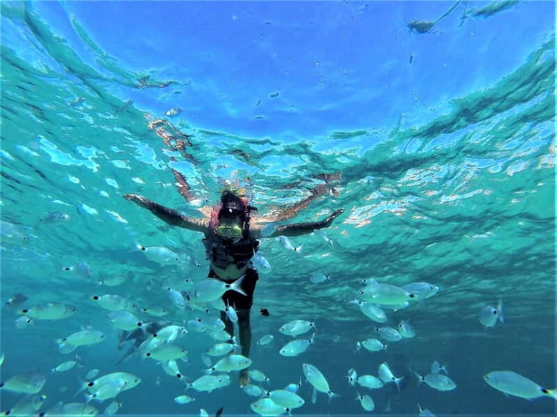 Ibiza: Sunset Coves and Sea Caves Snorkeling Trip - Key Points