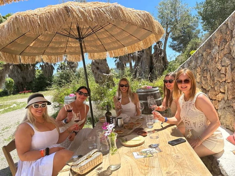Ibiza Wine Tour: Wine Tasting + Tapas at Winery - Who Will Appreciate This Tour?