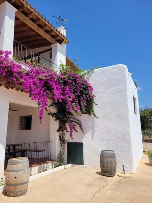 IBIZA Wine Tour: Wine Tasting + TAPAS + Olive Oil+ Transport - A Deeper Look at the Ibiza Wine Tour Experience