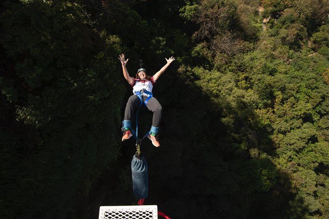 IBO Bungee en Cola de Caballo - FAQ