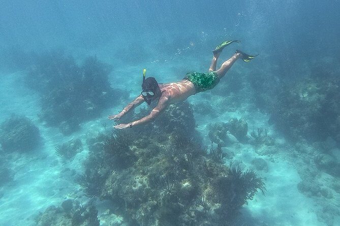 Icacos Deserted Island Catamaran, Snorkel, and Picnic Cruise - Final Thoughts: Is It Worth It?