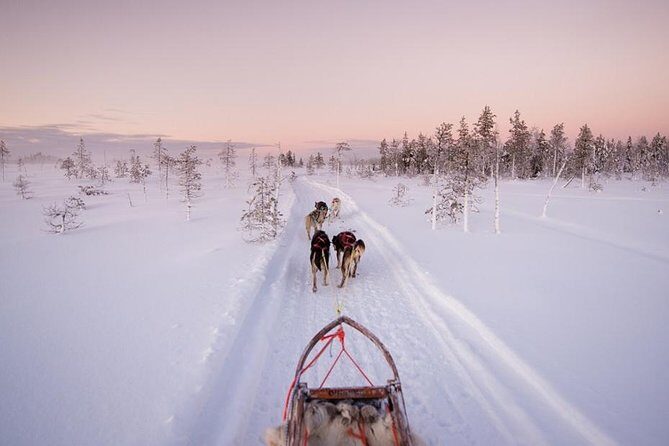 Ice Fishing and Husky - Key Points