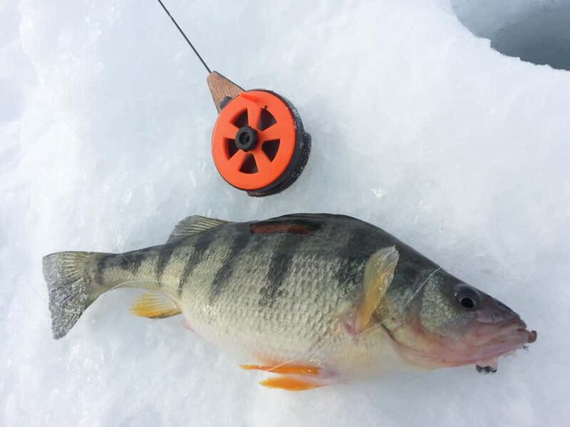 Ice Fishing near Mont-Tremblant - The Value of This Experience