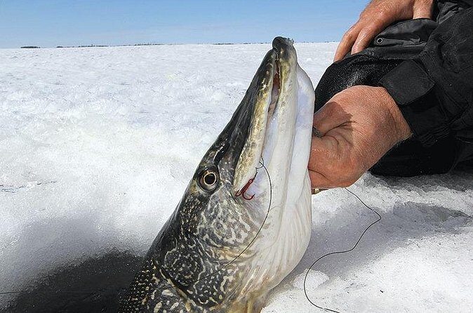 Ice Fishing Tour from Fairbanks - Final Note