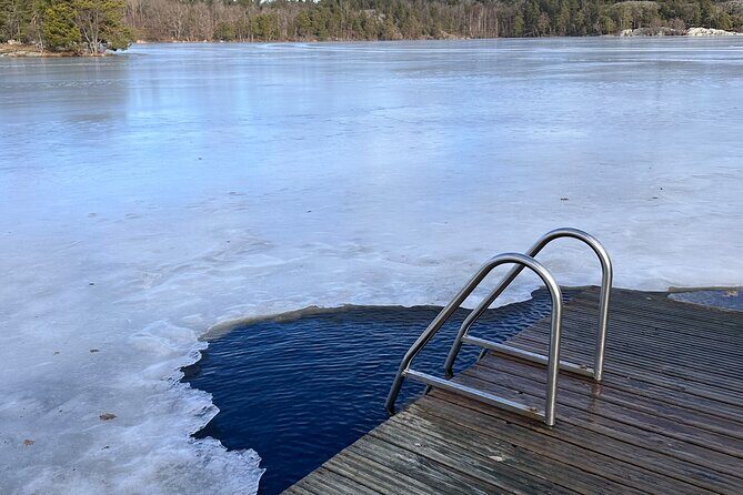 Icebathing and Sauna with Forest hike in Stockholm - Private - Who Would Love This?