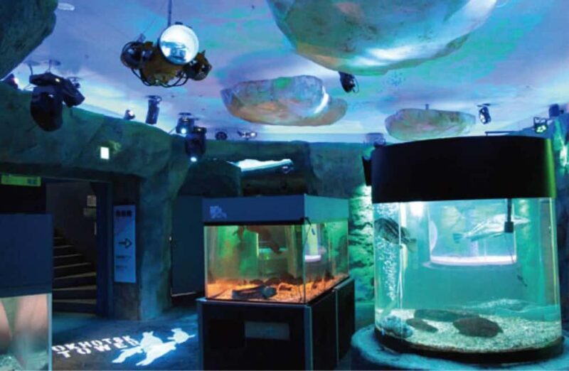 Icebreaker GARINKO GO III Cruise Explore Ice and Snow Tour - The Sum Up