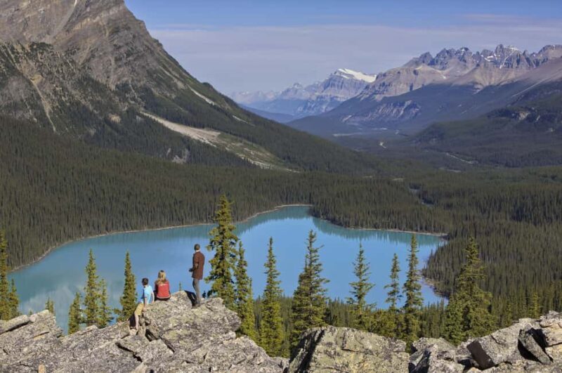 Icefield: Bow Lake, Columbia Icefield, Peyto Lake Day Tour - Key Points
