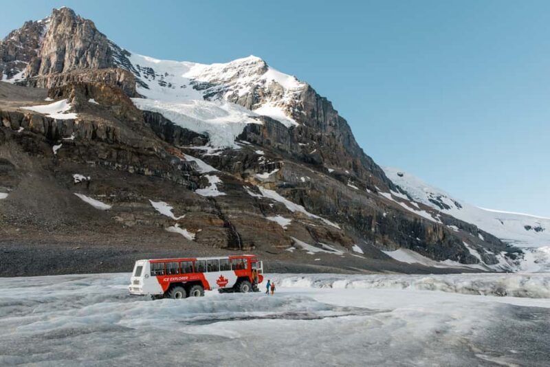 Icefield: Bow Lake, Columbia Icefield, Peyto Lake Day Tour - Columbia Icefield and the Glacial Wilderness