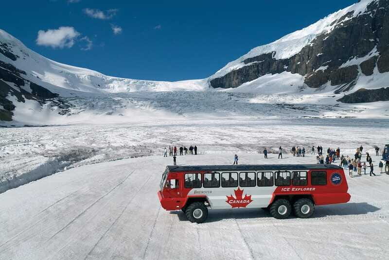 Icefield: Bow Lake, Columbia Icefield, Peyto Lake Day Tour - Authentic Experience and What Youll Take Away