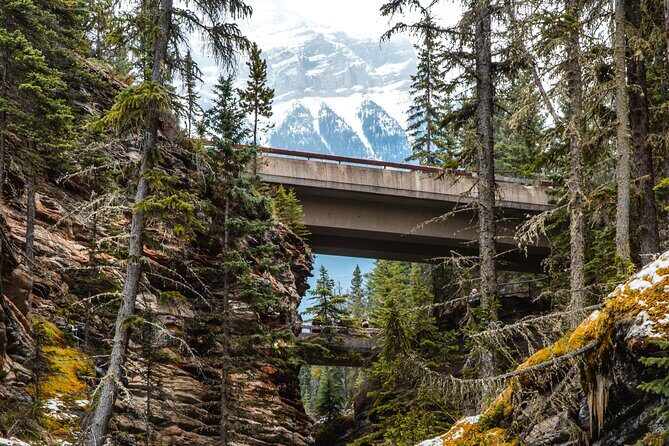 Icefields Parkway: a Smartphone Audio Driving Tour - Who Will Benefit Most?
