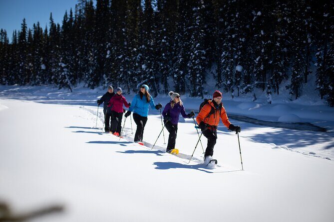 Icefields Parkway & Ice Bubbles of Abraham Lake Adventure - An In-Depth Look at the Experience