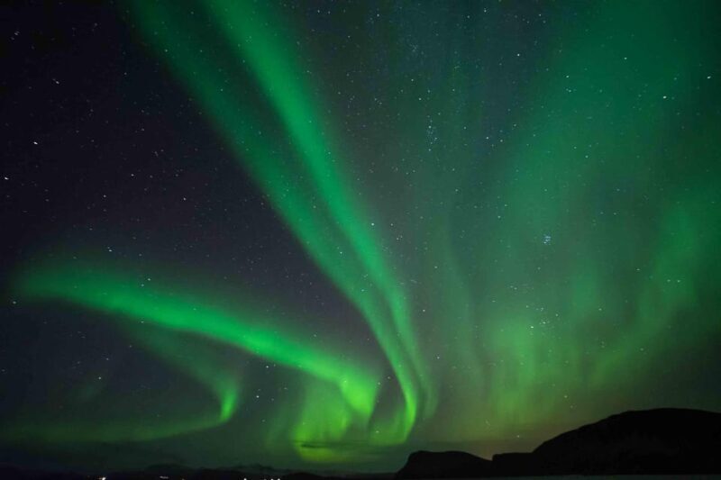 Iceland: Private Northern Lights Tour with Champagne - The Sum Up