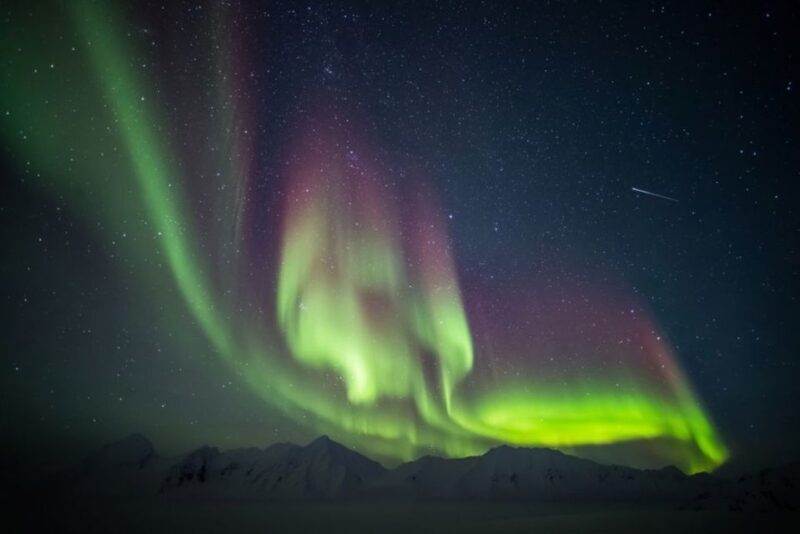 Iceland: South Coast and Northern Lights Tour - Final Thoughts: Is This Tour for You?