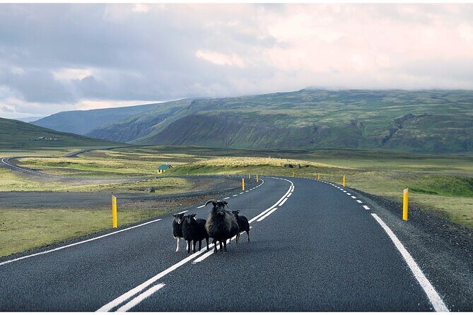 Iceland South Coast Tour with Pickup - FAQ
