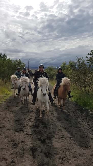 Iceland: Volcanic Landscape Horse Riding Tour - The Horses and Guides