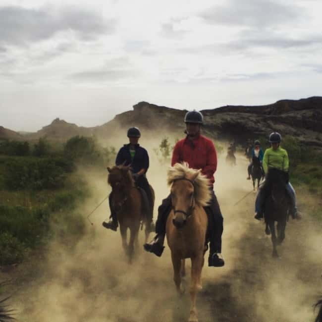 Iceland: Volcanic Landscape Horse Riding Tour - What You’ll Love and What to Consider