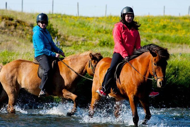 Icelandic Horse Riding and Whale Watching Cruise from Reykjavík - Final Thoughts