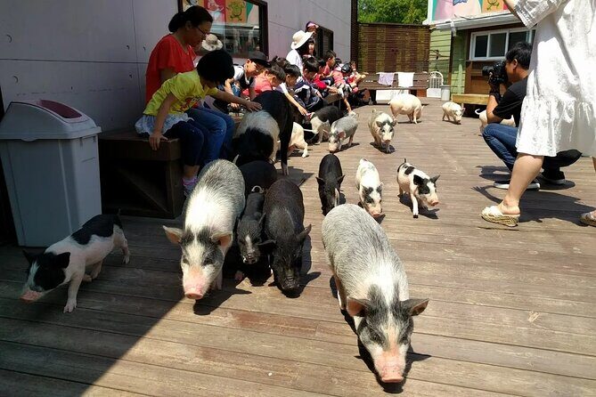 Icheon Mountain Hiking & Culture Tour - Icheon Mountain Hiking & Culture Tour: A Balance of Nature and Quirky Art