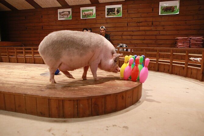 Icheon Mountain Hiking & Culture Tour - Final Thoughts