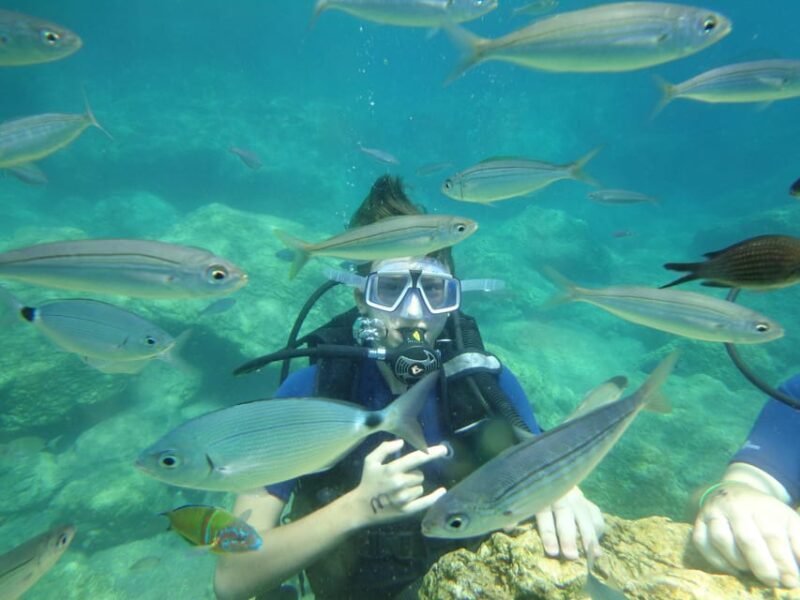 Icmeler: Scuba Diving with a Qualified Instructor - Important Details to Consider