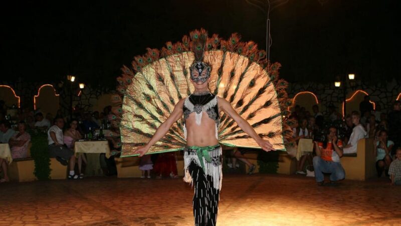 Icmeler Traditional Turkish Night Show w/ Dinnner and Drinks - What the Experience Is Like: An In-Depth Look