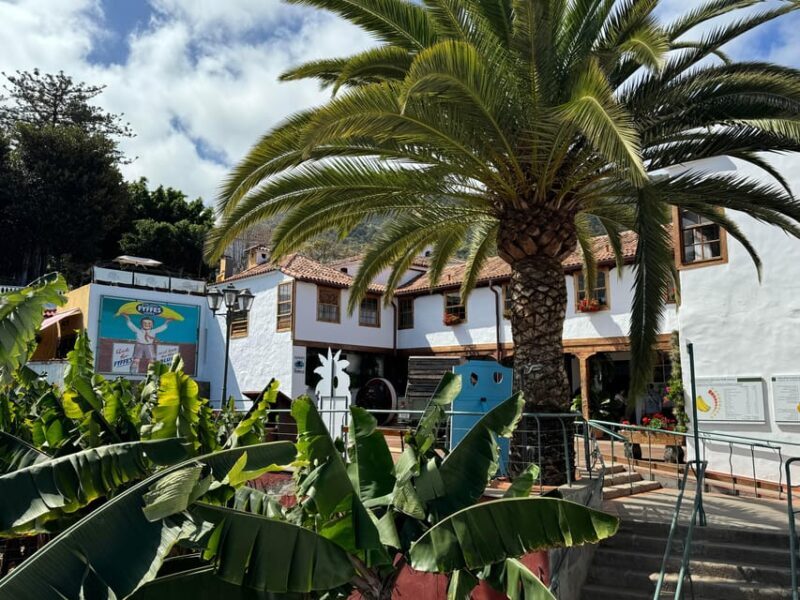 Icod de los Vinos: Casa del Plátano Entry Ticket - Is it Worth It? Final Thoughts