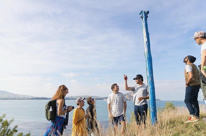 Iconic Dunedin Coastal Tour by Minibus with Maori Cultural Walk - Authenticity & Experiences