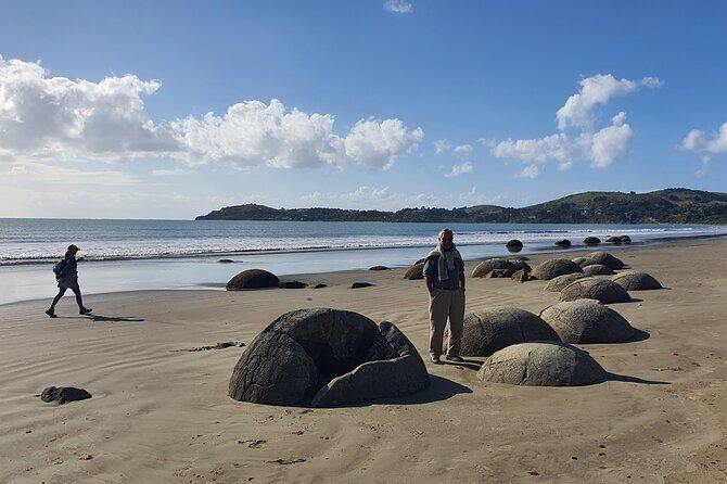 Iconic Dunedin Coastal Tour by Minibus with Maori Cultural Walk - Practical Tips for Travelers