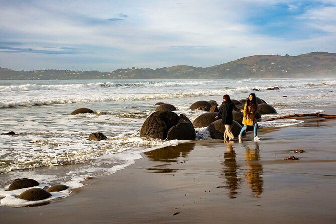 Iconic Dunedin Coastal Tour by Minibus with Maori Cultural Walk - The Sum Up