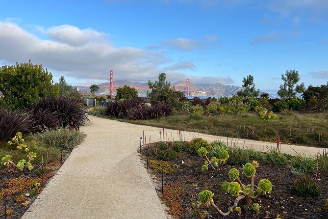 Iconic San Francisco Urban Hiking Tour - Key Points