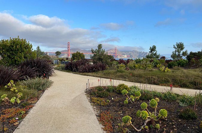 Iconic San Francisco Urban Hiking Tour - Authentic Feedback from Past Participants
