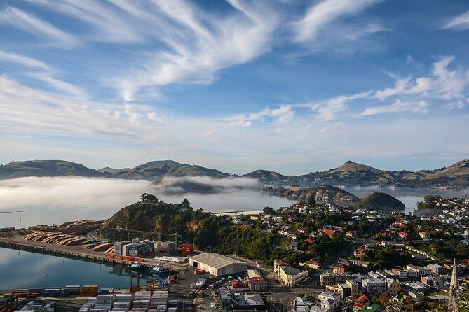 Iconic Shore Excursion: Dunedin City Highlights Tour - Analyzing the Value and Experience