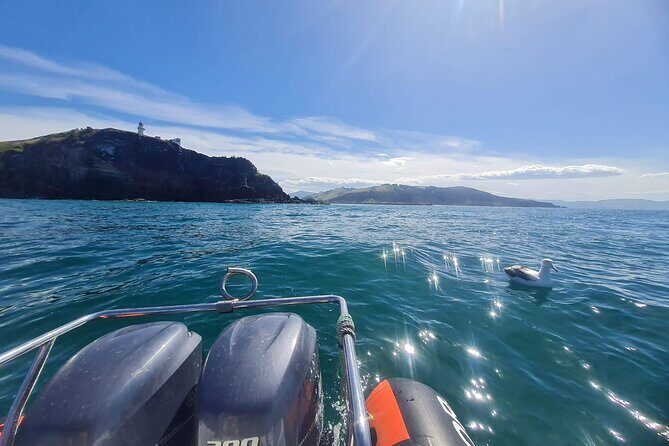 Iconic Shore Excursion: Dunedin City Highlights Tour - Final Words