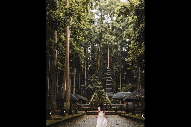 Iconic Ubud Day Trip - Final Thoughts: Who Is This Tour Perfect For?