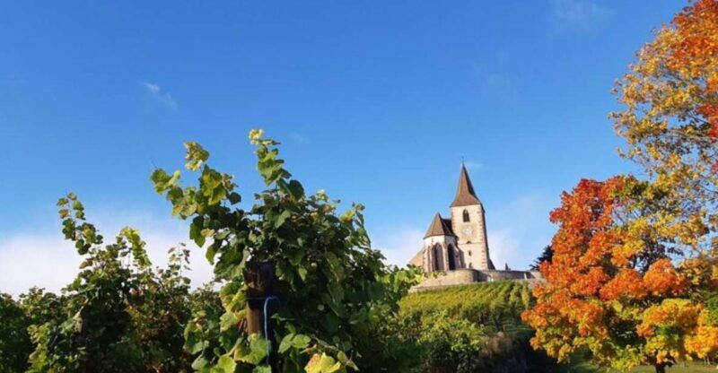Iconics Typical villages & Haut Koenigsbourg castle - Discover the Charm of Alsace with the Iconics Villages & Haut Koenigsbourg Castle Tour