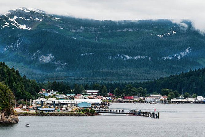Icy Strait Shore Excursion: Whale Watching Adventure Tour - Authentic Reviews and Traveler Insights