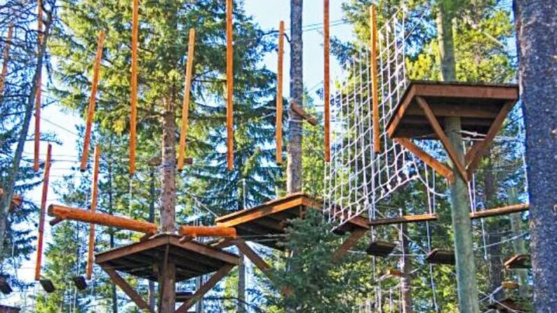 Idaho Springs: Ropes Challenge Course Ticket - What You Can Expect from the Ropes Challenge Course