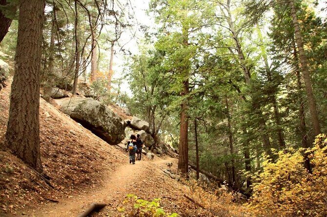Idyllwild Day Tour - The Itinerary: What You Can Expect