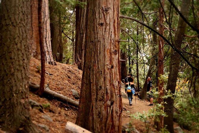 Idyllwild Day Tour - Final Thoughts