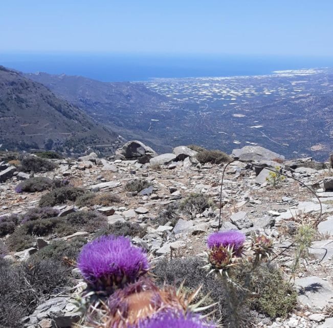 Ierapetra: Eastern Crete Nature Jeep Driving Tour - Key Points