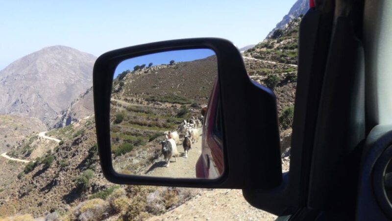 Ierapetra: Eastern Crete Nature Jeep Driving Tour - Final Thoughts: Who Is This Tour For?