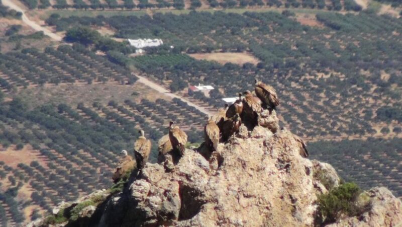 Ierapetra: Eastern Crete Nature Jeep Driving Tour - Frequently Asked Questions