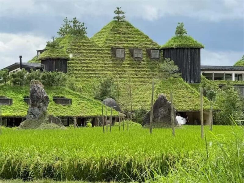 Iga: Lake Biwa Architecture & Miho Museum Day Trip Osaka - Exploring the Full Day: A Detailed Look at the Itinerary