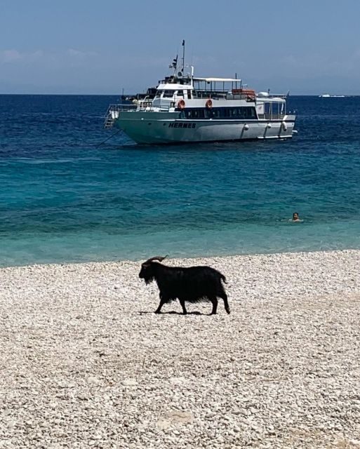 Ihaca boat cruise with swimming and attractions - Key Points