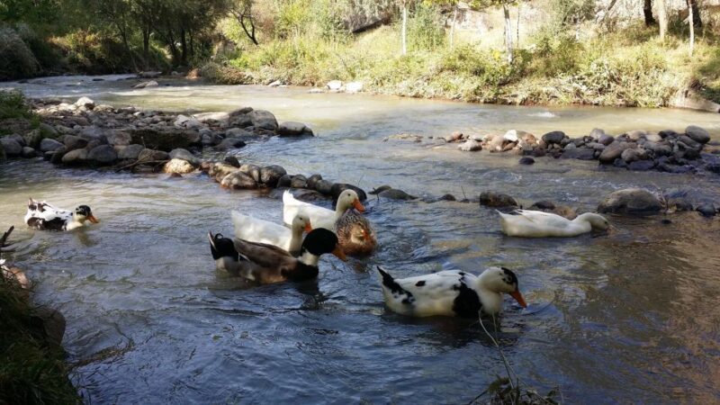 Ihlara Valley Full Day Hiking Tour with expert guide - The Sum Up: Is It Worth It?