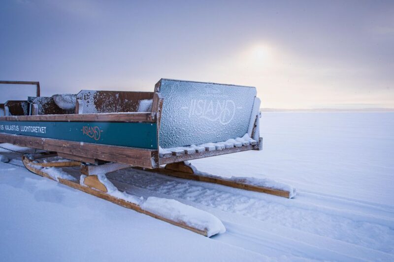 Ii: Snowmobile sleigh trip on frozen sea under starlit sky - Key Points